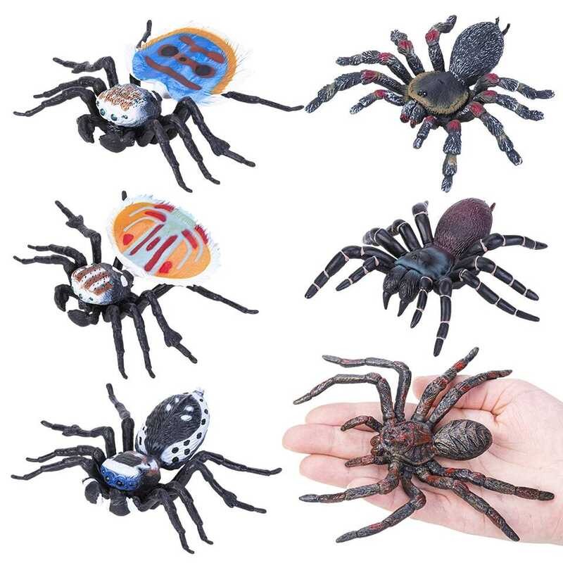 Simulation Animals Insect Solid Model Spider Tarantula Black Spider ...