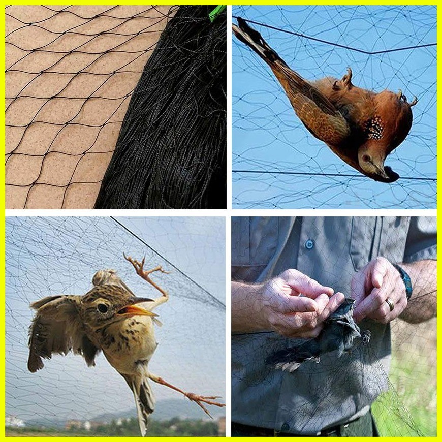 6~20M Bird Trap Net Anti Bird Catcher Netting Pond Net Fishing Net ...