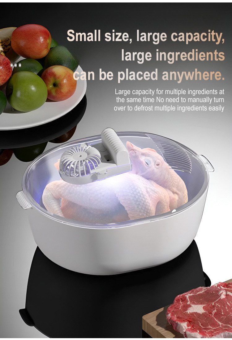 【6-In-1 Atomized Quick Thawing Artifact】Kitchen Quick Thaw Machine/Meat ...
