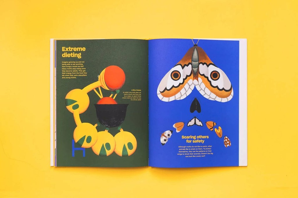 Incredible Bugs In Stock: The Amazing World of Insects Illustrated ...