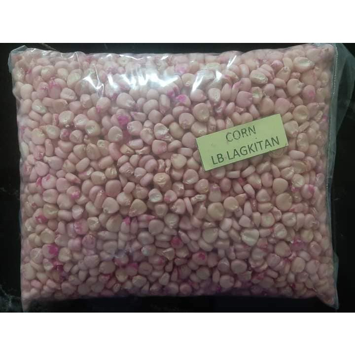 Los Baños Lagkitan Corn Seeds for Planting (1kl) | Shopee Philippines