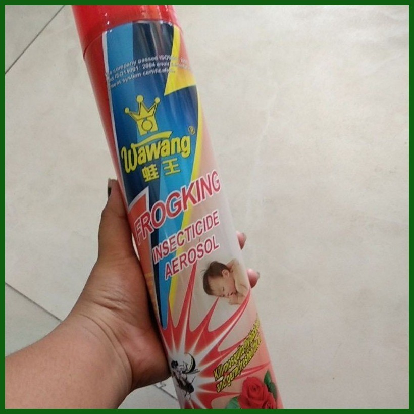 Wawang aerosol insecticide spray insects 750ml | Shopee Philippines