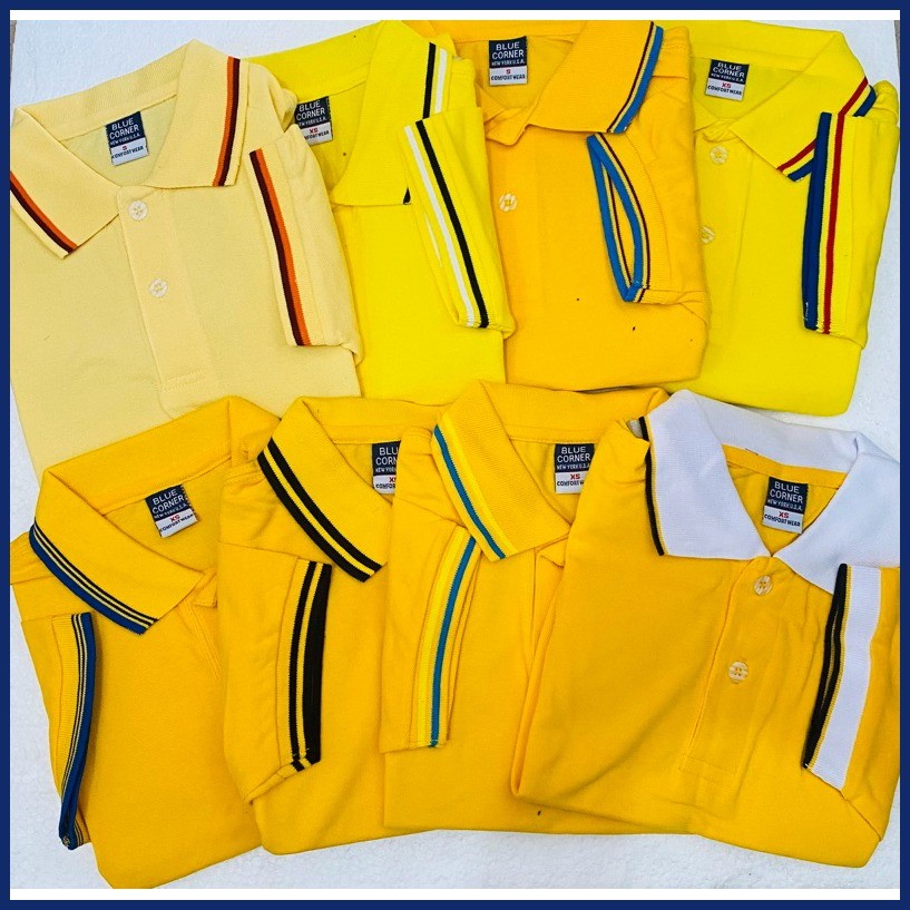 BLUE CORNER POLO SHIRT with linning | Shopee Philippines