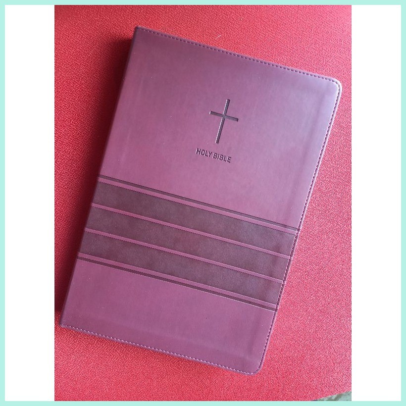 NLT/KJV/NKJV/NIV/HCSB/CSB PREMIUM GIFT BIBLE & KIDS/TEENS BIBLE ...