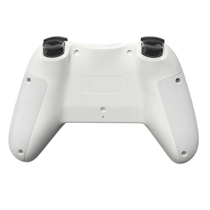 T-37 Wireless Controller Type-C Interface For Nintendo Lite Motion ...