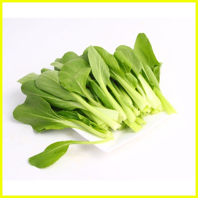 Baby Pak Choi Bok Choy Small Pechay Vegetable Seeds ( 600 seeds ...
