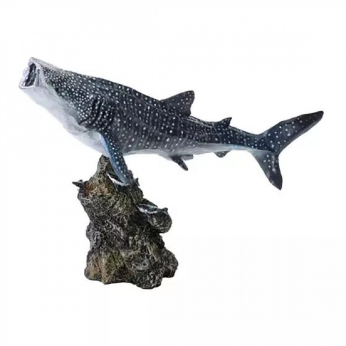 [BTF]Spot Goods BANDAI Capsule toy Biological Illustrated Handboy Shark ...
