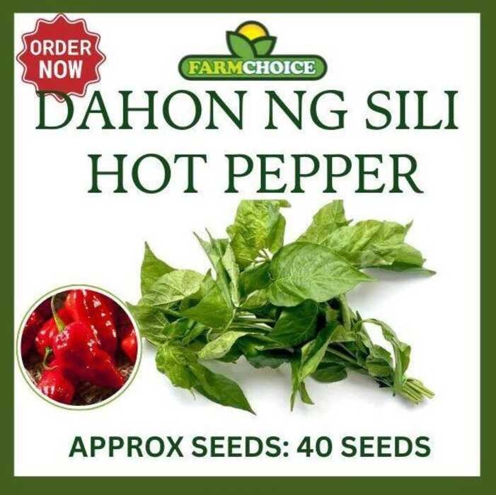 DAHON NG SILI HOT PEPPER SEEDS (40 Seeds) | Shopee Philippines