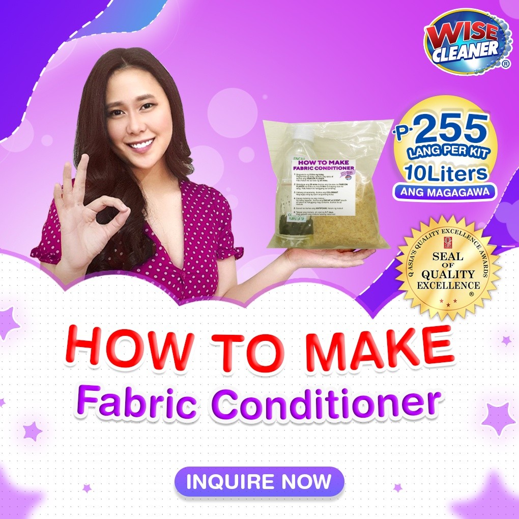 WISE CLEANER DIY FABCON KIT | Shopee Philippines