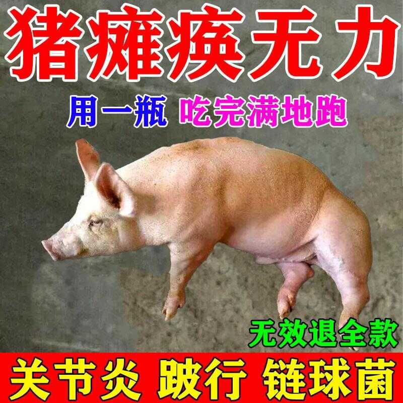 Special Medicine for Pig Paralysis, Legs Weak, Can't Stand, Soft ...