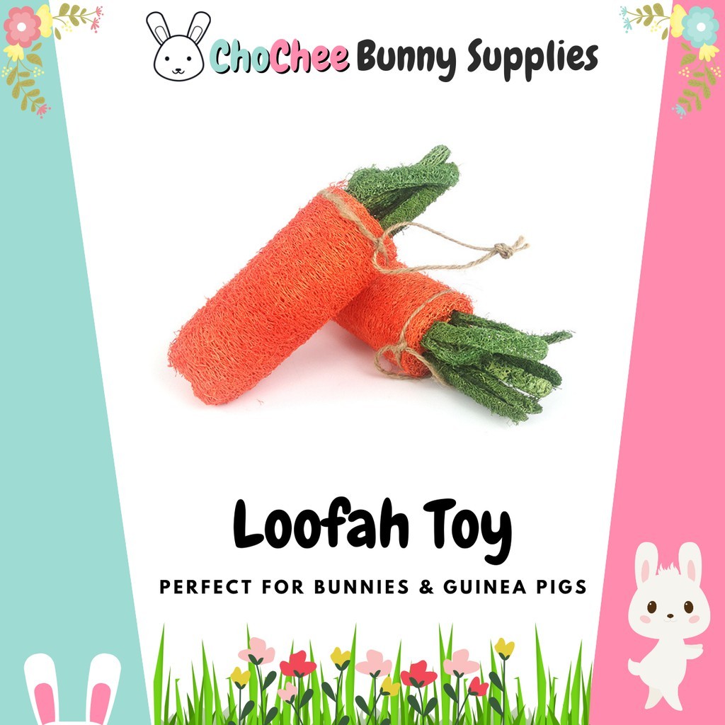 Loofah Toy / Chew Toy/ Teething Toys for Rabbits, Chincillas, Hamsters ...
