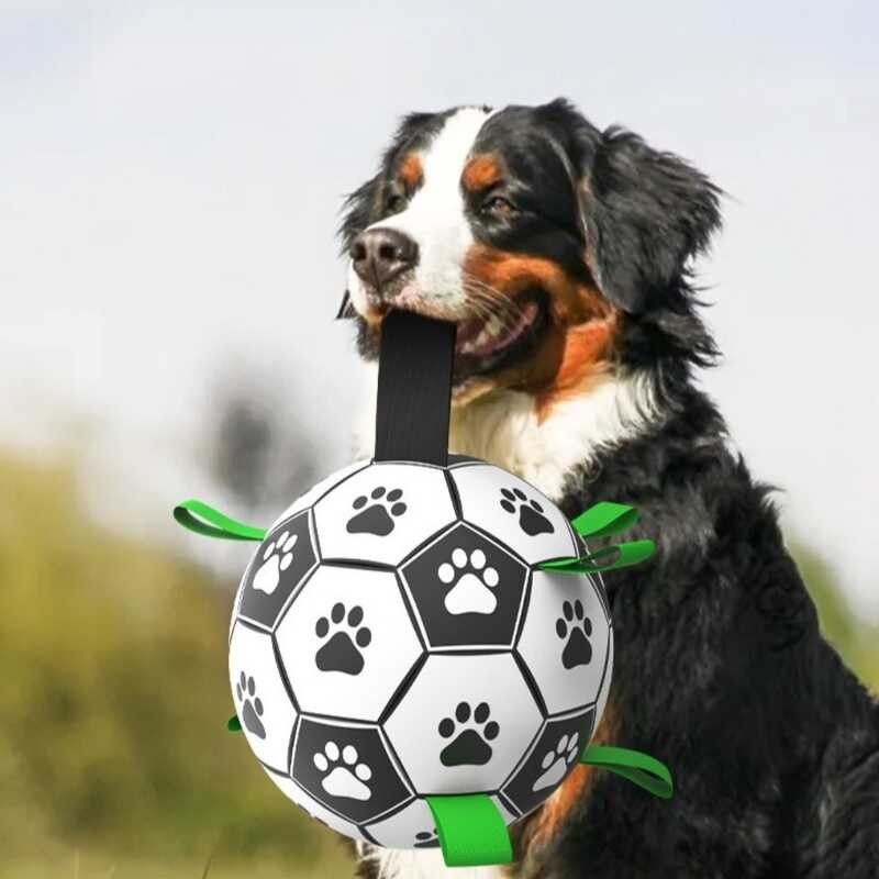 SUMMIT Football Design Pet S Interactive Fetch Chewing Ball Durable ...