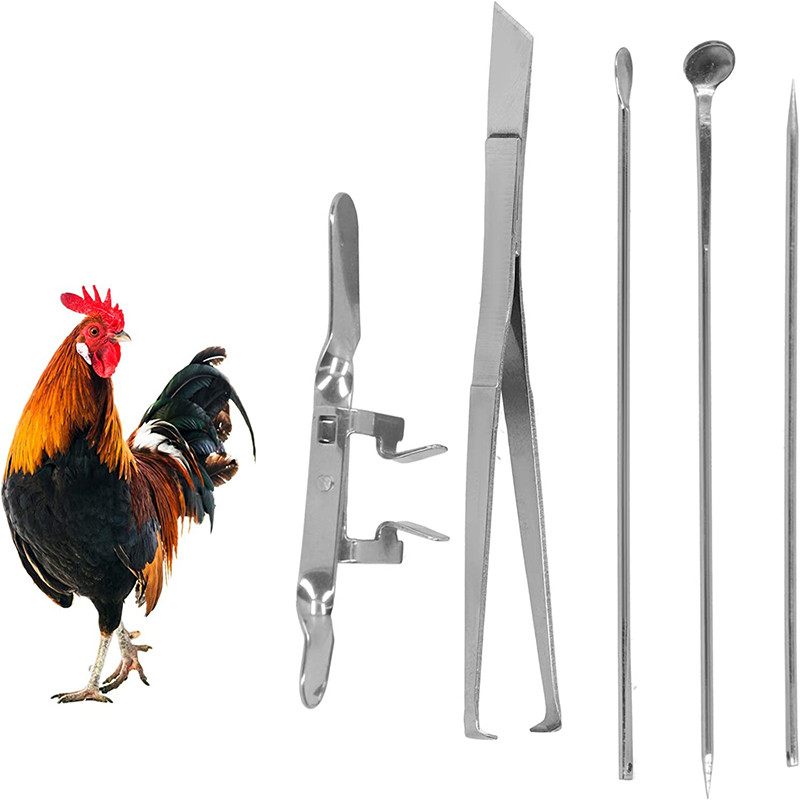 5Pcs Stainless Castration Chicken Capon Tools Farm Cock Rooster ...