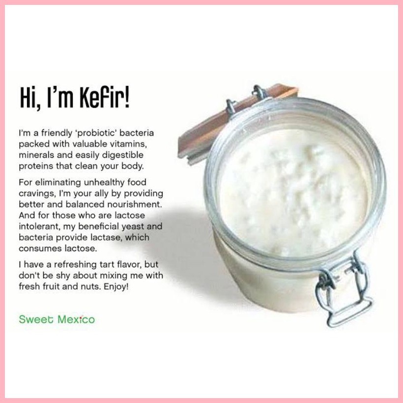 Milk KEFIR Grains TIBETAN UNLIMITED USE Authentic | Shopee Philippines