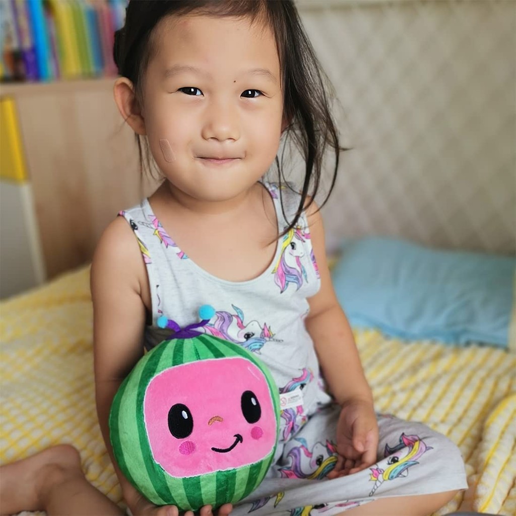 Timi Cocomelon JJ Stuffed Toy for Kids Baby JJ Cocomelon Plush Toy ...