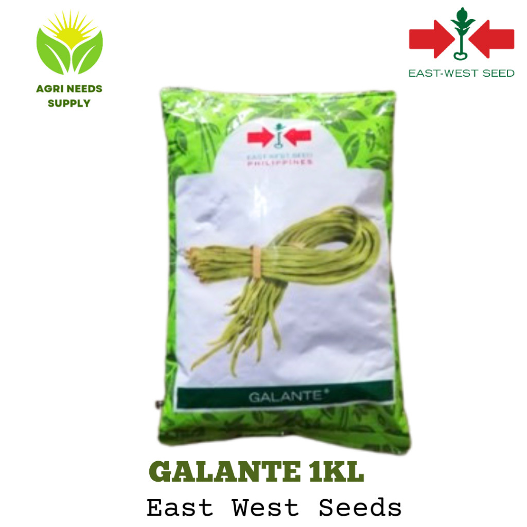 East West Galante sitao/sitaw 1 kg | Shopee Philippines
