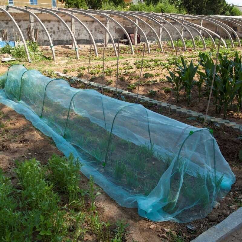 Green Fine Insect Net (60 Mesh)9.8(Ft) X 50 M Mosquito Net/Window ...