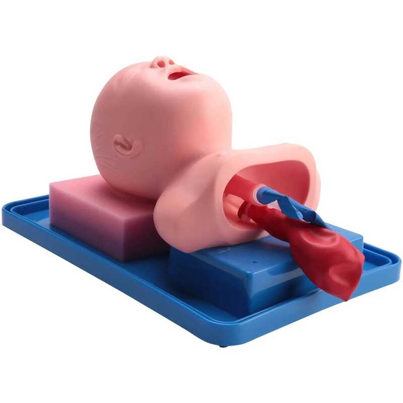 AAog Neonatal Double Lung And Stoh Expansion Child Tracheal Intubation ...