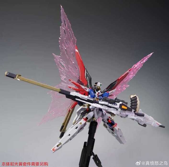 Birds Real Angry Mr. Zeus 1/144 Destiny Gundam Zeus Phantom Assembly ...