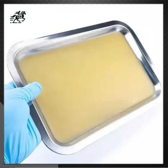Stainless Steel Dissecting Pan For Laboratory Medical Tools Frog Or ...