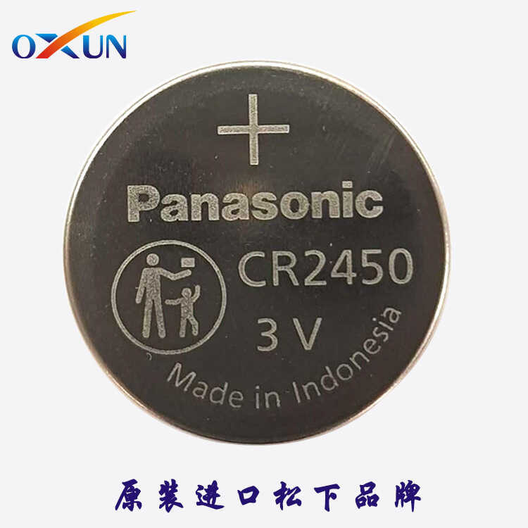Panasonic 3V Button Cr2450 Solder Pin Battery | Shopee Philippines