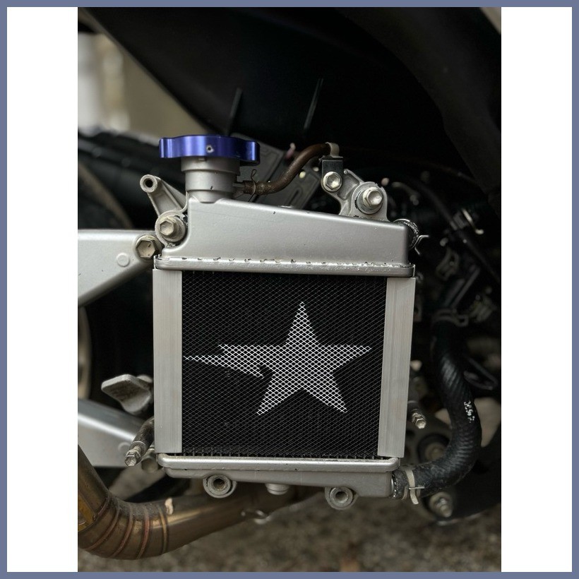 ☂ Radiator net cover - VARIO AEROX PCX NMAX LEXI style radiator plate ...