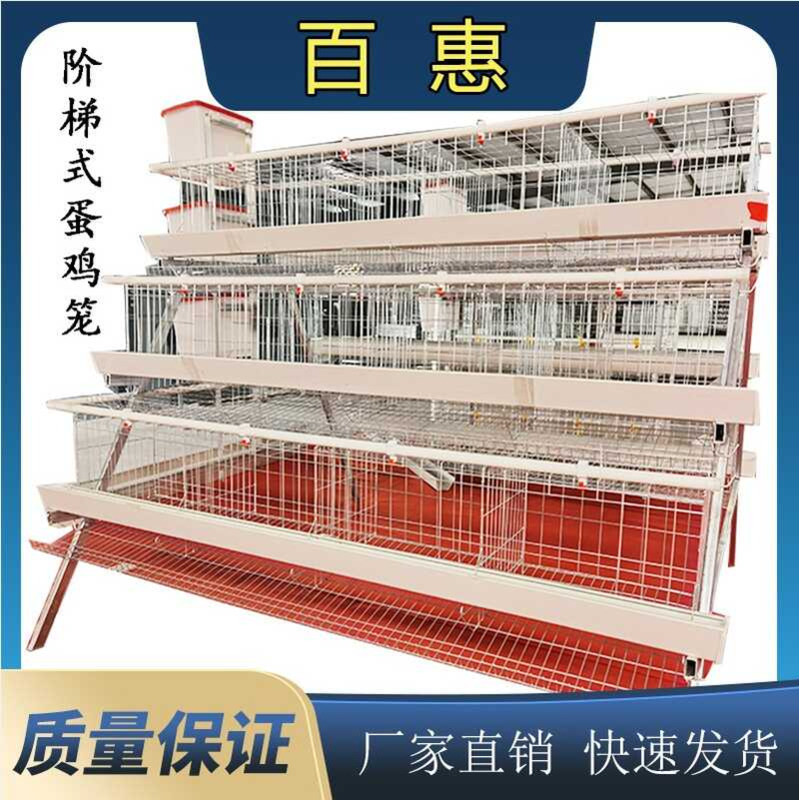 Three-layer Four-door White Slot Egg Chicken Cage Equipment for Farms ...