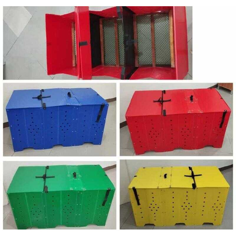 Folding Cage Triple Division /Plastic/ Collapsible For Gamefowl 274 1A8 ...
