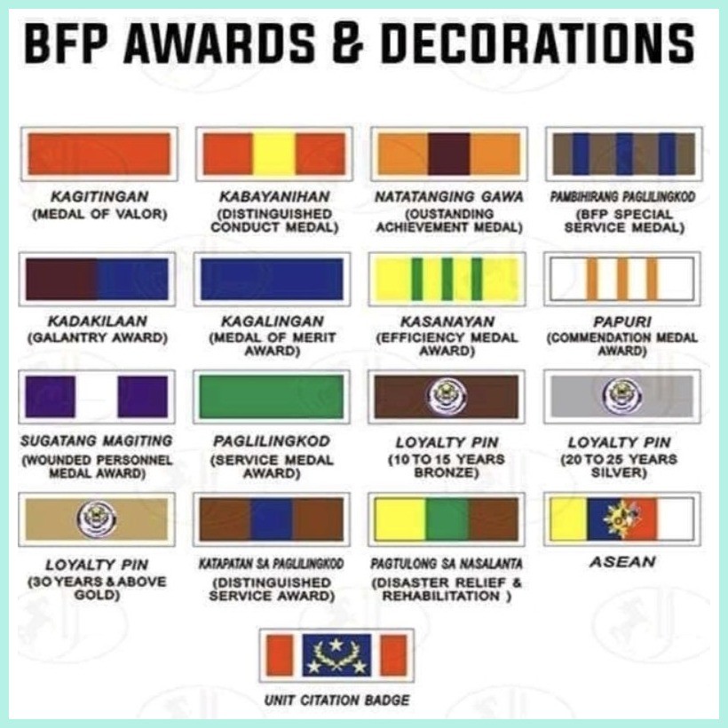 "PNP, AFP, BFP, BJMP, PCG: AWARDS AND DECORATIONS" | Shopee Philippines