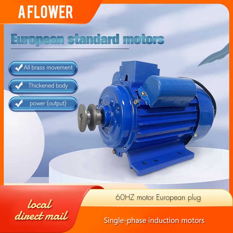 All Phase European Copper 100% Induction Single 3Hp, Japan 220V-2800W ...