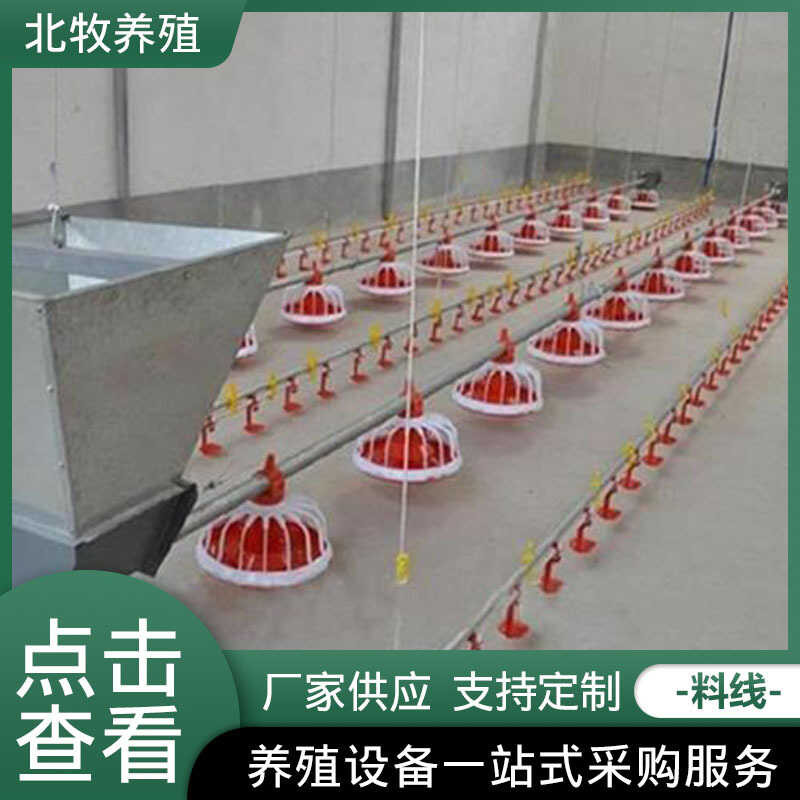 Fully Automatic Chicken Feeding Line Chicken Duck Goose Flat Breeding ...