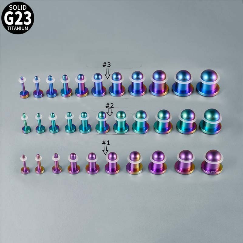 2 Piece G23 Titanium Multicolor Fresh Ear Lobe Piercing Hypoallergenic ...