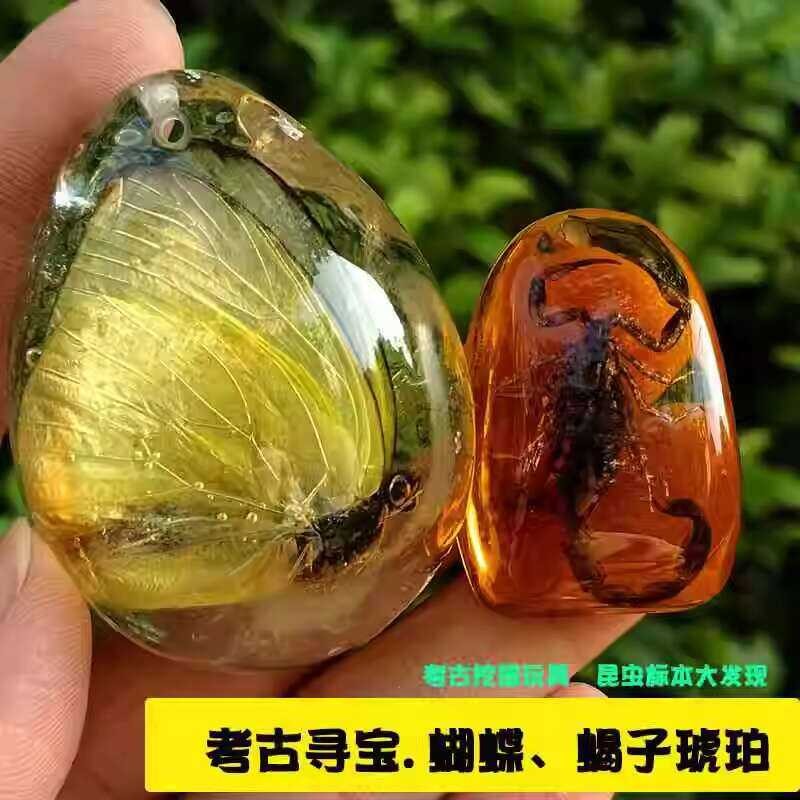 Butterfly Amber Insect Specimen Archaeological Excavation Toy Knocking ...