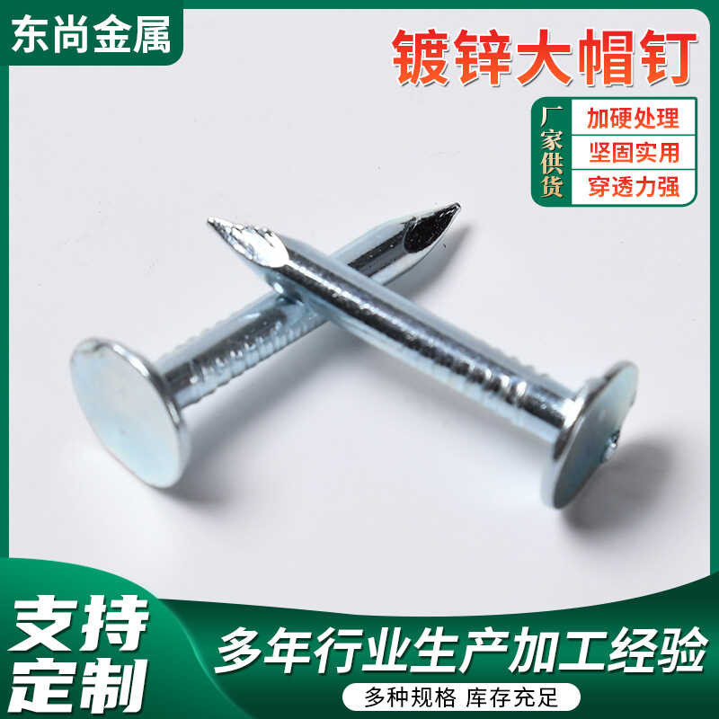 Rust-Resistant Galvanized Large Cap Nails Fixing Asphalt Shingles Oil ...