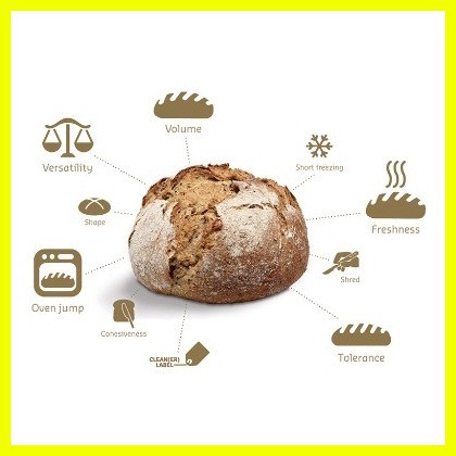 ☂ Puratos S500 Ultra Bread Improver 1kg | Shopee Philippines