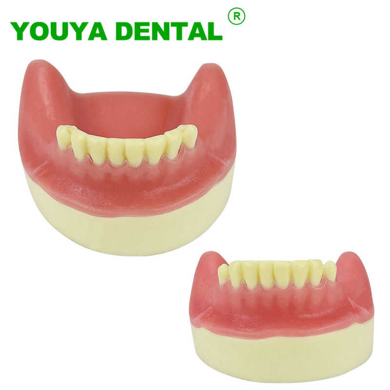 Dental Teeth Implant Typodont Gamit Ang Soft Gum Dentist Student ...