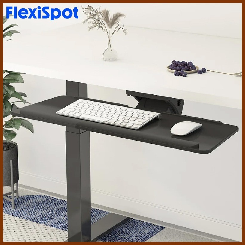 ↂ FlexiSpot KT1 Keyboard Tray Height and Tilt Adjustment | Shopee ...