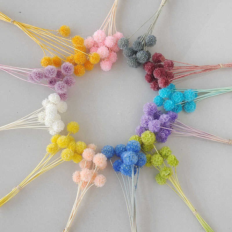 Flower Single Preserved Head Windmill Fruit Dried Flower Bouquet Multi ...