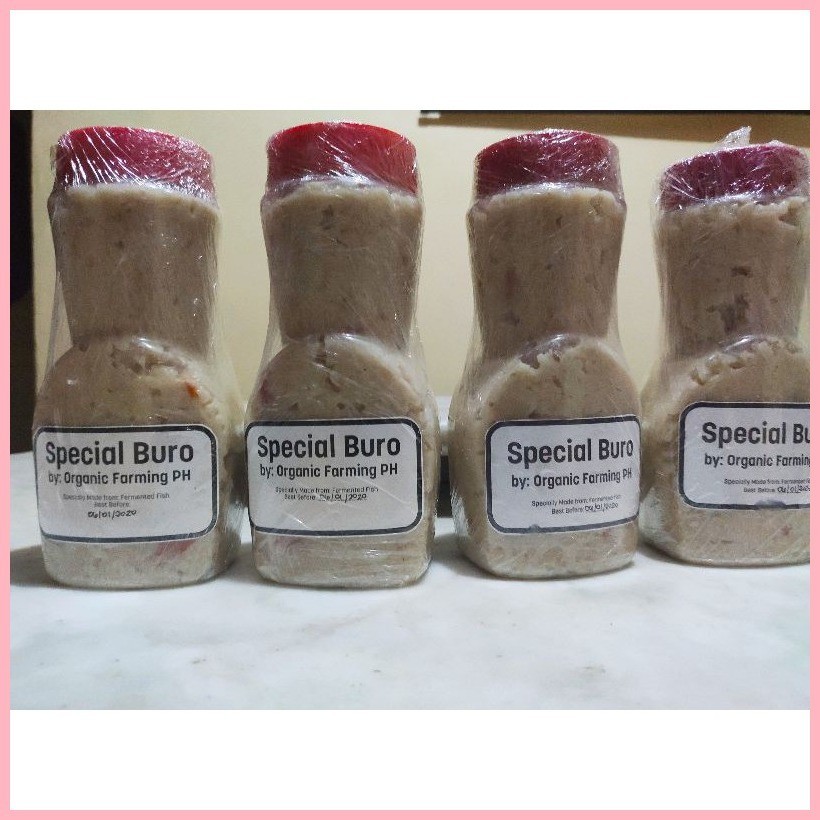 Burong Isda/Fermented Fish ( Made from Pampanga) | Shopee Philippines