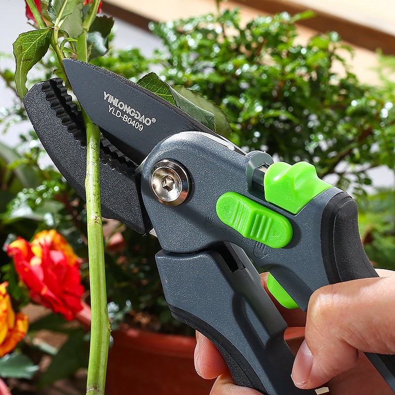 Plant trim horticulture Hand pruner cut secateur Shrub Garden Scissor ...