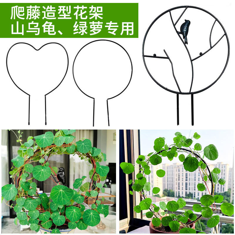 Mountain Turtle Climbing Rattan Shelf Flower Stand Simple Gardening ...