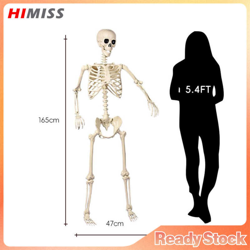 5.4FT Halloween Life Size Skeleton Halloween Skeleton With Movable ...