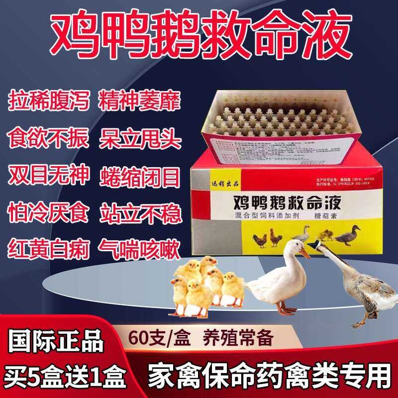 Chicken Duck Goose Rescue Liquid Veterinary Chicken Medicine Duck ...