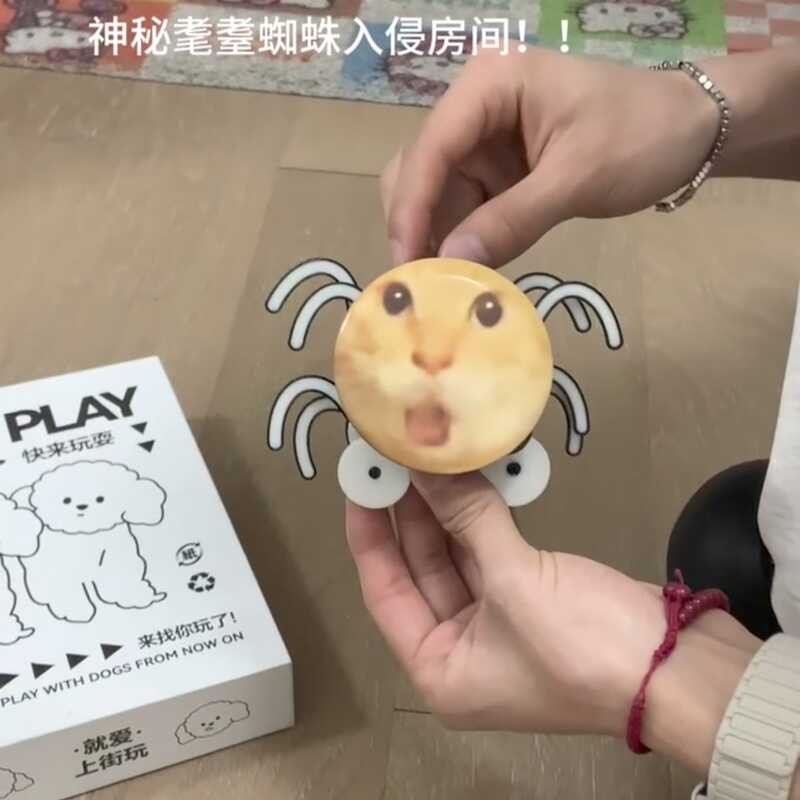 Elderly DIY Kit Handmade Cat Meme Electric Robot Creative Spider Essence Bm-068 | Shopee Philippines