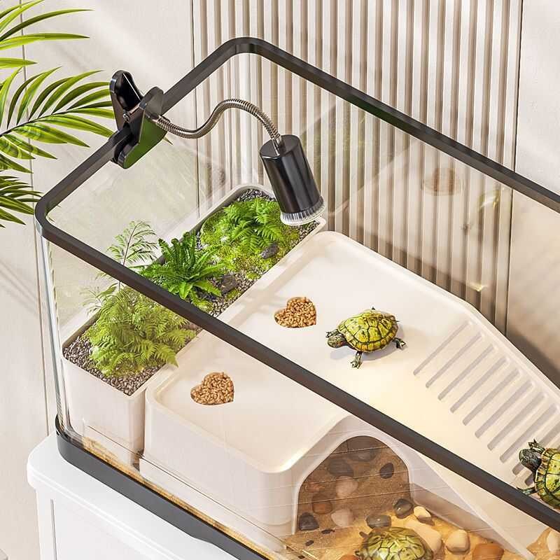 Turtle Basking Platform Brazilian Turtle Grass Turtle Landscaping ...