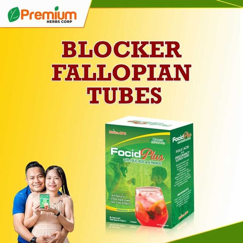 HL Focid Plus w/ Folic Acid, Hirap mabuntis supplement Paragis ...
