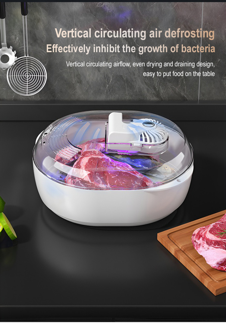 【6-In-1 Atomized Quick Thawing Artifact】Atomizing Thawing Machine ...