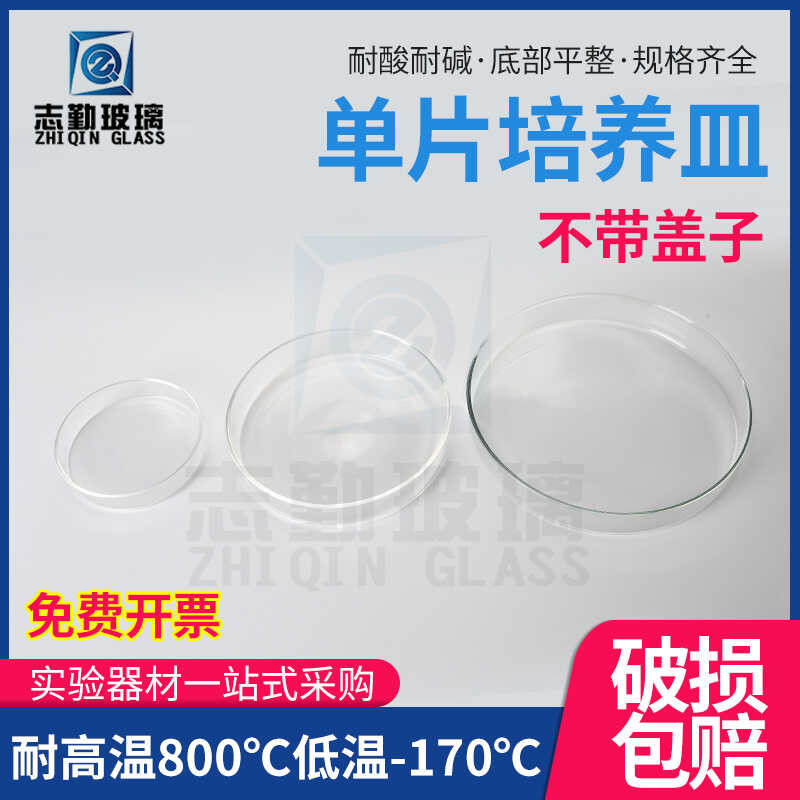 Laboratory Instrument Glass Single Piece Culture Dish Bacterial Cell ...