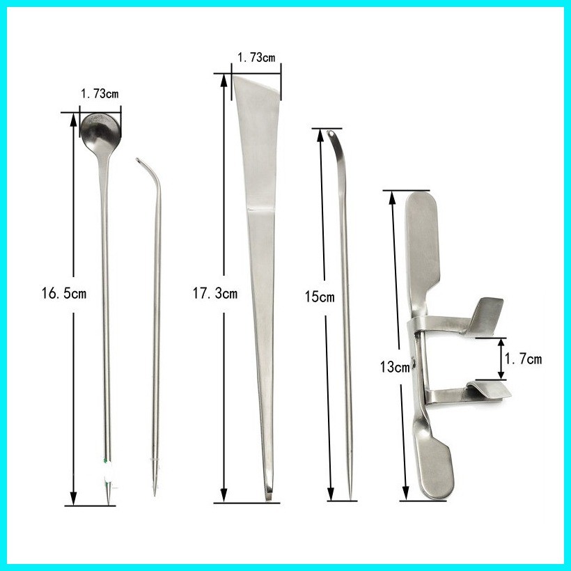 5Pcs Stainless Castration Chicken Capon Tools Farm Cock Rooster ...