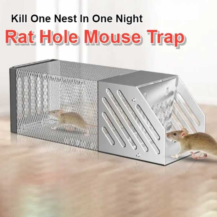 Patayin Ang \12304; Nest Sa Isang Gabi】Rat Hole Mouse Trap Automatic ...
